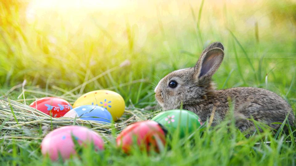 Easter Hours 2024 | Boundary Co-op